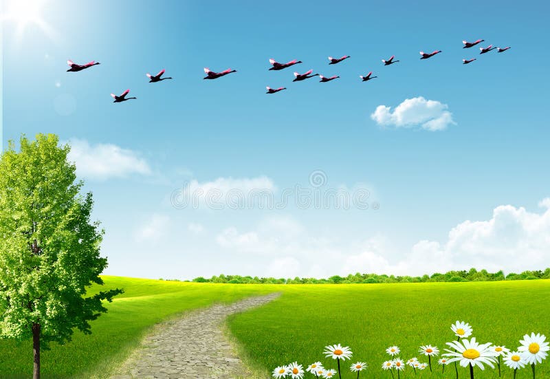 Spring Fling Flowers Images Stock Photos - Free & Royalty-Free Stock ...