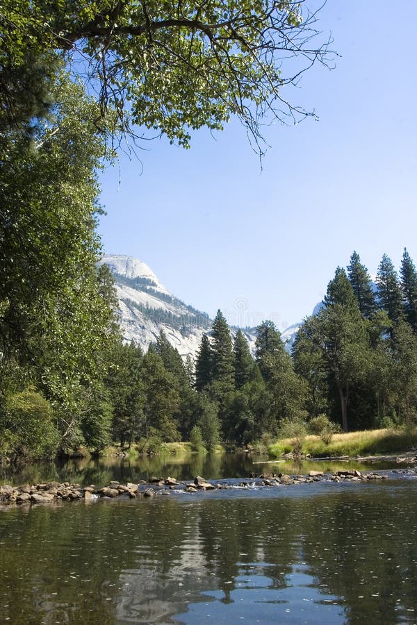 Nature image stock. Image du normal, bleu, rural, fleur - 6852579