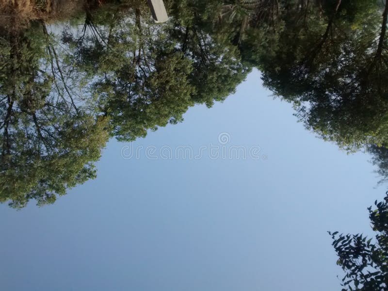 Nature is above stock image. Image of trees, side, nature - 47164387