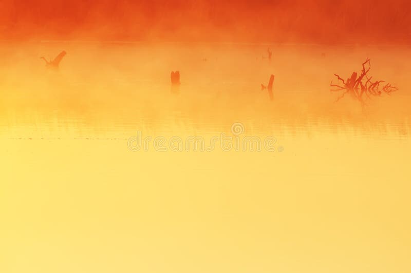 Nature abstract stock photo. Image of color, pond, landscape - 23934736