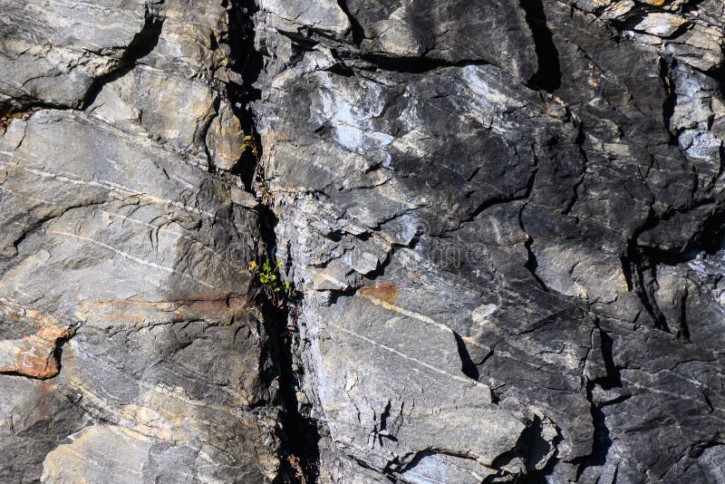 Nature Abstract: Pattern Created by Cracks and Crevices in a Solid Rock ...