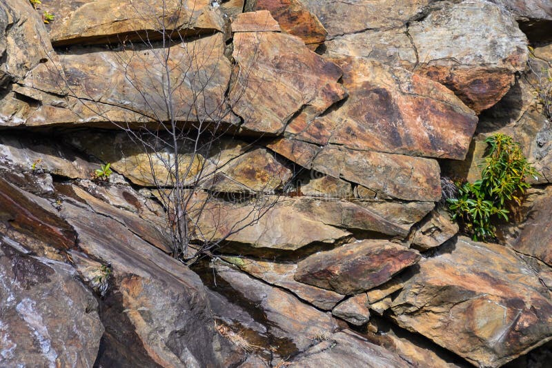 Nature Abstract: Pattern Created by Cracks and Crevices in a Solid Rock ...