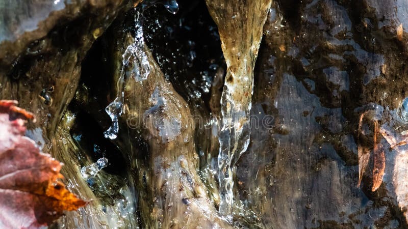 Nature Abstract: Splashing Water Streaming Down and Enveloping Fresh ...