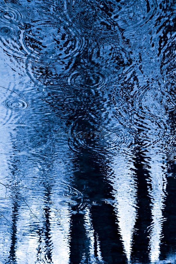 Nature Abstract Tree Water Reflection Stock Image - Image of pattern ...