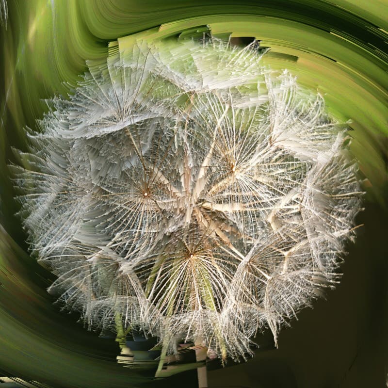 Nature Abstracts Backgrounds Blurs Textures and Shapes Stock ...