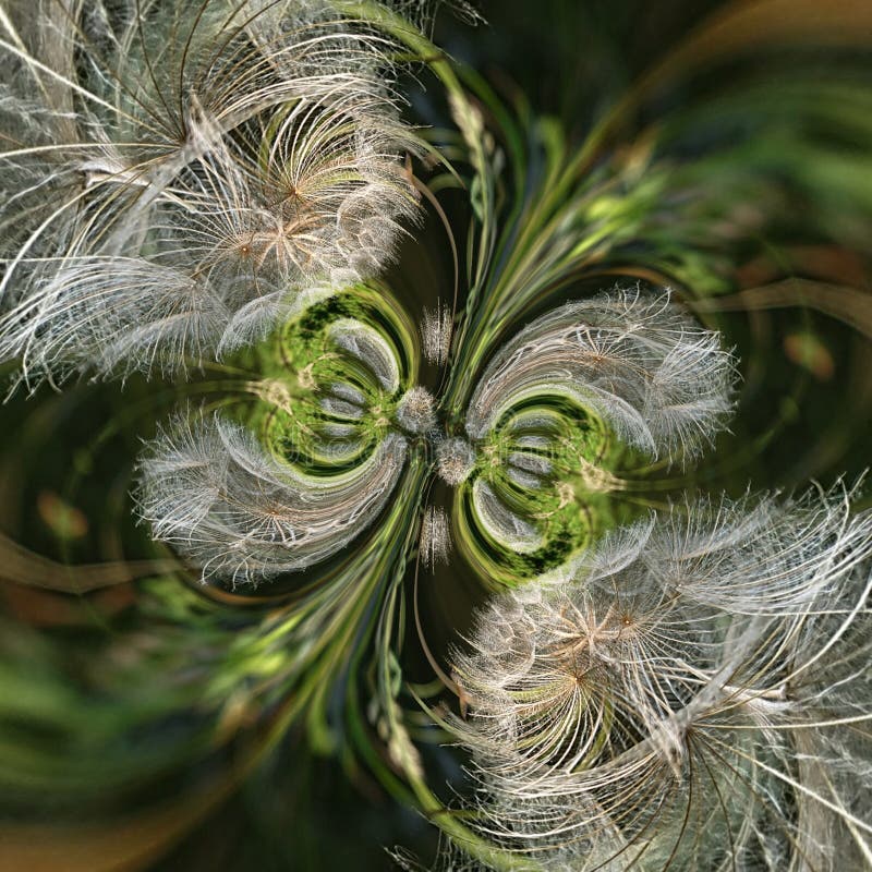 Nature Abstracts Backgrounds Blurs Textures and Shapes Stock ...