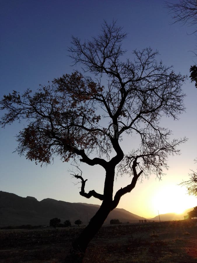 Fasa Fars Stock Photos - Free & Royalty-Free Stock Photos from Dreamstime