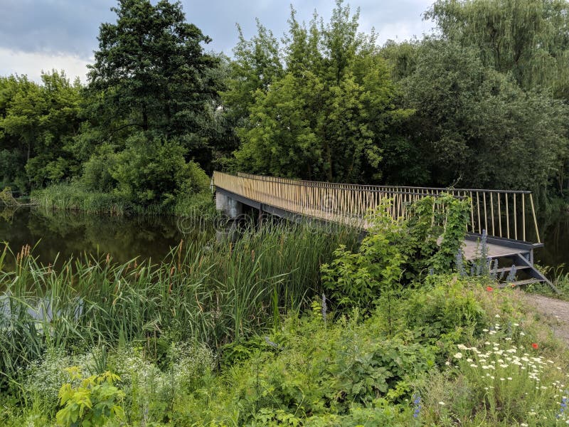 Nature Ancient Bridge Across the River Amazing View of the Trees in ...