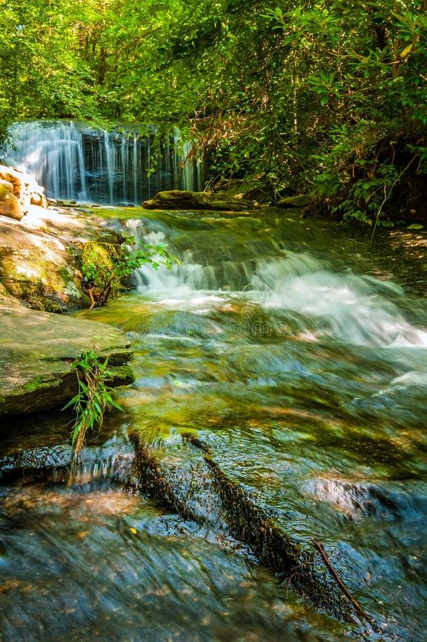 Nature Around a Small Creek Stock Photo - Image of outdoor, peaceful ...