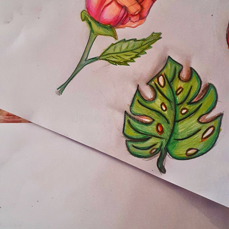 Nature Art Leaf Drawing Color Stock Image - Image of leaf, color: 171543667