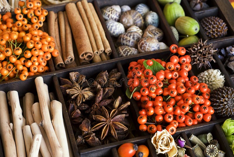 Nature Assortment stock image. Image of display, cinnamon - 11061889
