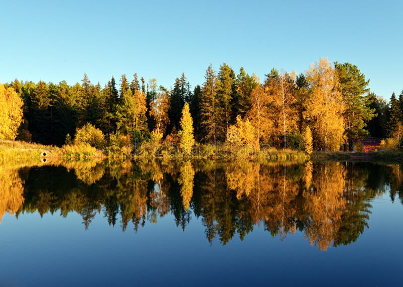 Autumn Forest and Lake in the Fall Season Stock Image - Image of bright ...