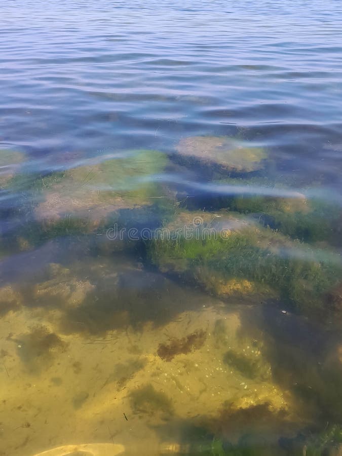 Nature Backgraund of Clean Sea Water. Baltic Sea Stock Photo - Image of ...