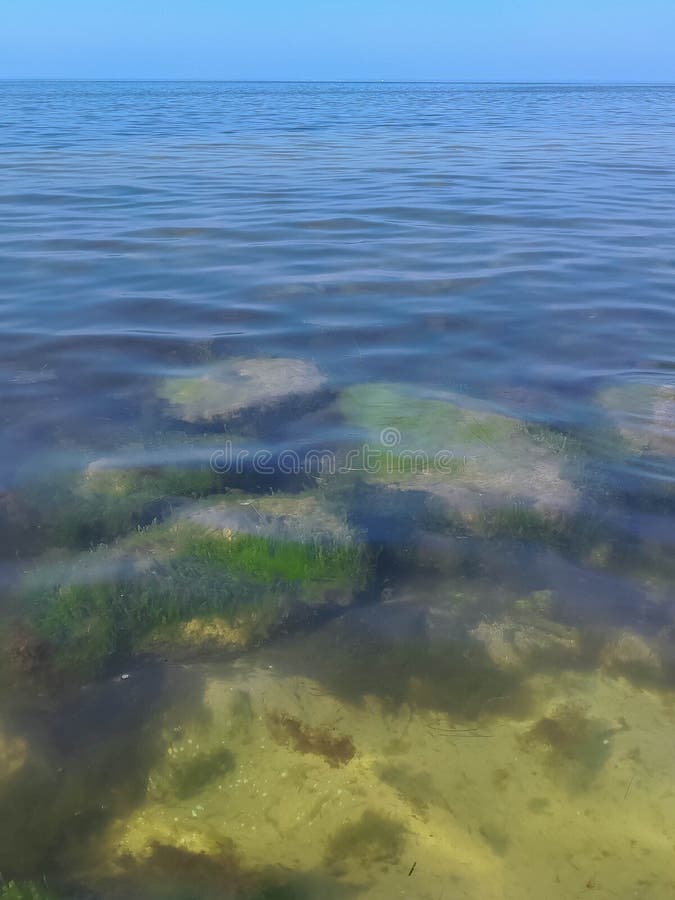 Nature Backgraund of Clean Sea Water. Baltic Sea Stock Image - Image of ...