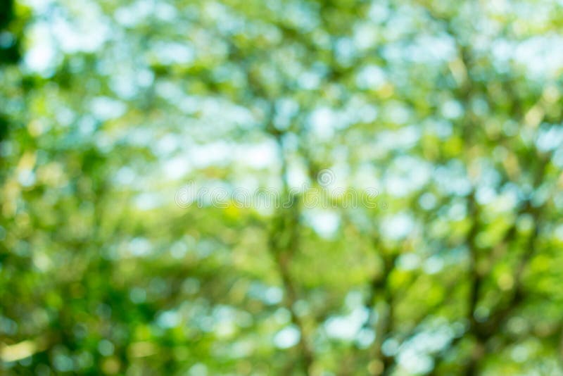 Nature Background Abstract, Green Blur Background Stock Image - Image ...