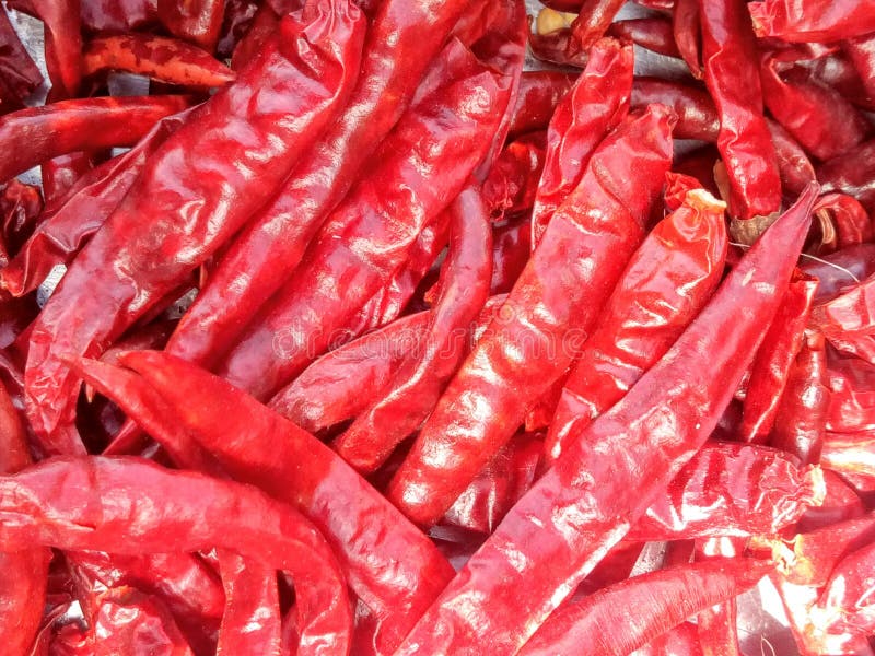 Freshy red chilli stock image. Image of vegetable, supermarket - 104103841