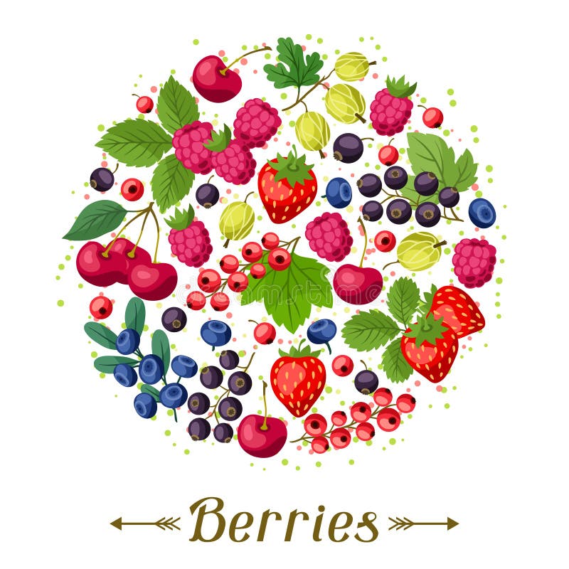 Nature Background Design with Berries. Stock Vector - Illustration of ...