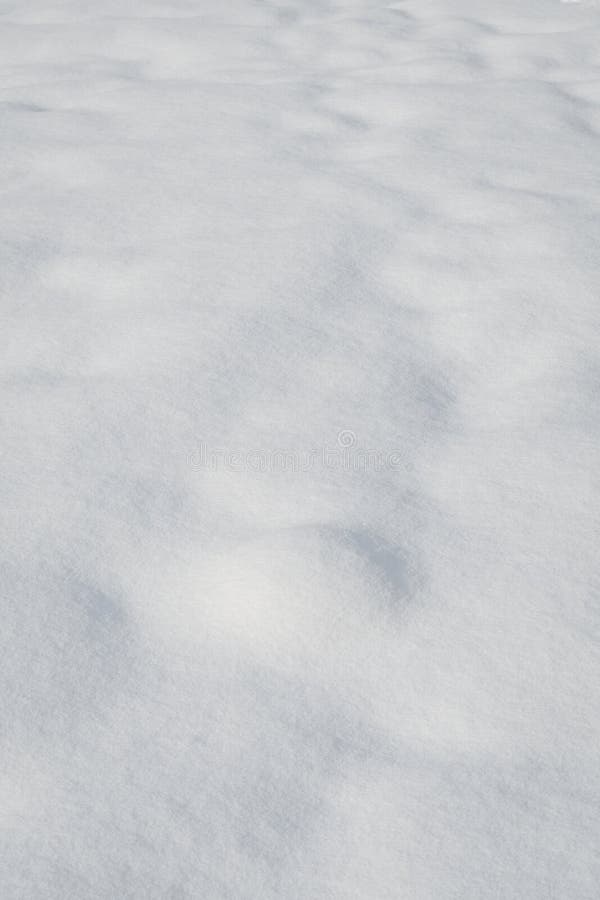 Nature Background of Fresh Powder Snow, Pattern and Texture in White ...