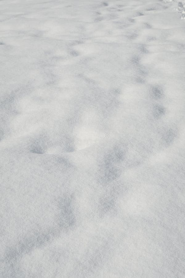 Nature Background of Fresh Powder Snow, Pattern and Texture in White ...