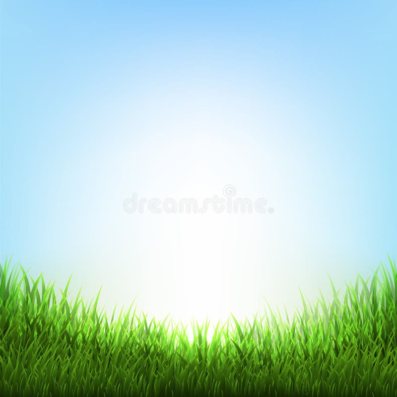 Nature Background with Grass Stock Vector - Illustration of field ...