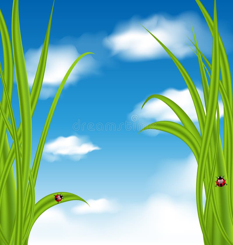 Green Nature Background, Design Template Stock Vector - Illustration of ... Green Nature Background, Design Template Stock Vector - Illustration of ...