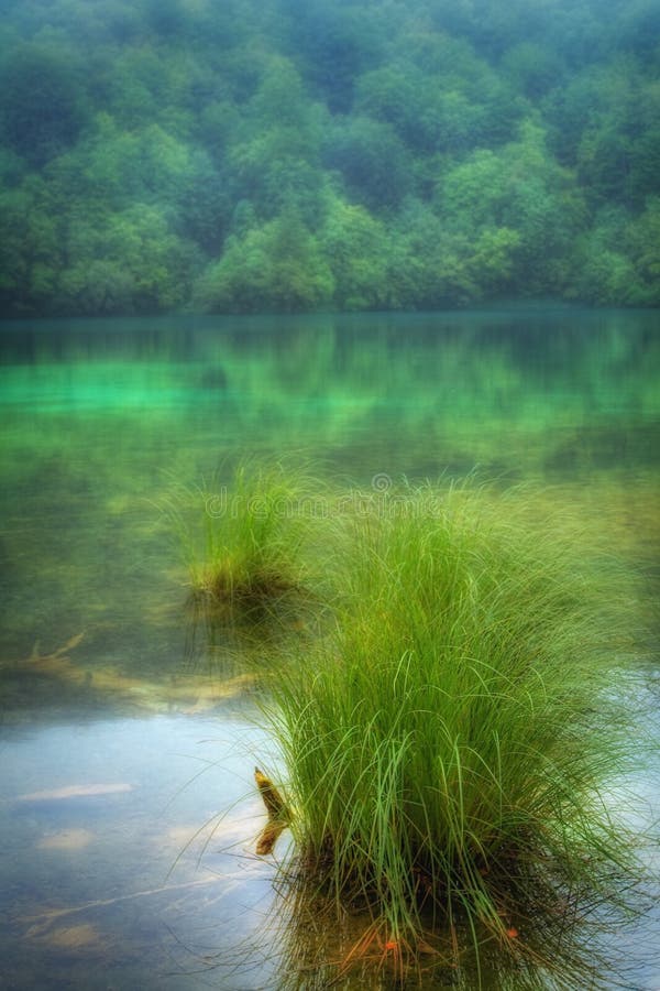 Beautiful Lake in Spring Time Stock Photo - Image of natural, freshness ...