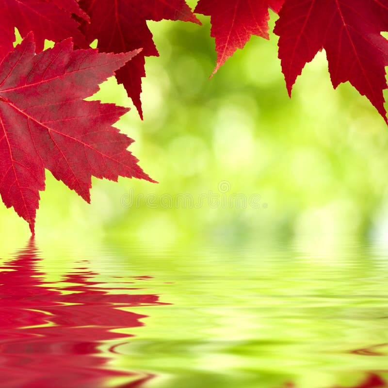 Nature background stock photo. Image of reflection, card - 46683888