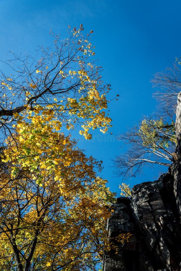 Nature Background, Mountain View, Autumn Tree and Blue Sky Stock Photo ...