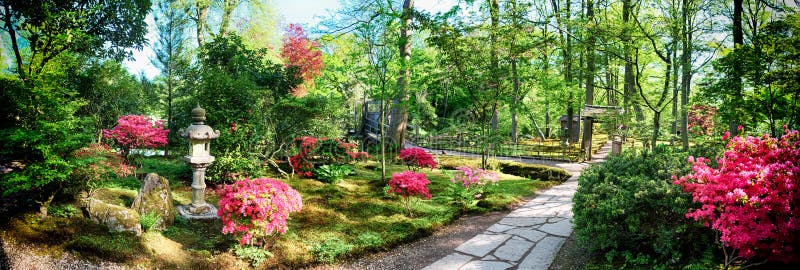 Park in the Hague stock photo. Image of dutch, design - 31686548