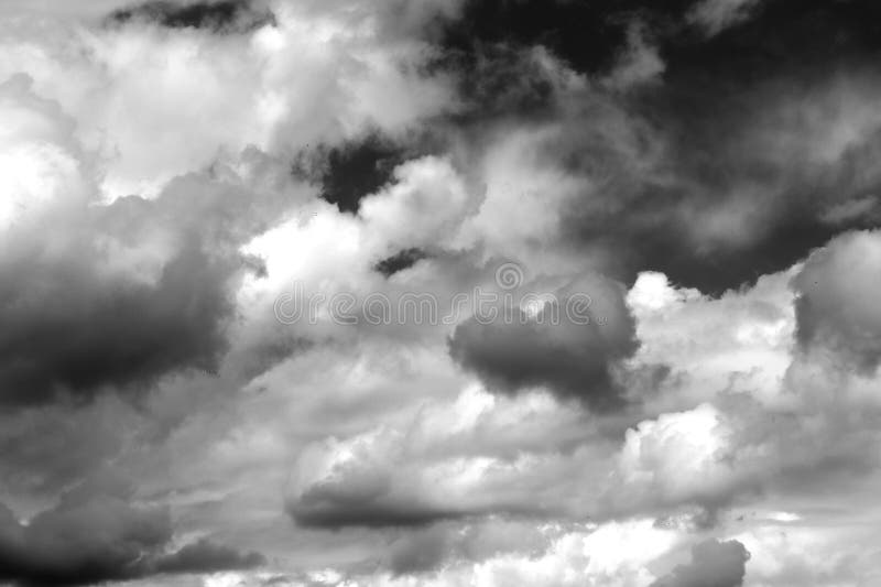 Nature background 2818 stock photo. Image of abstraction - 319813324