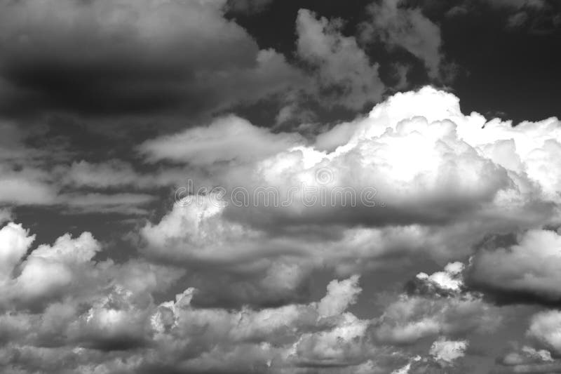 Nature background 2802 stock image. Image of black, diffuse - 319812287