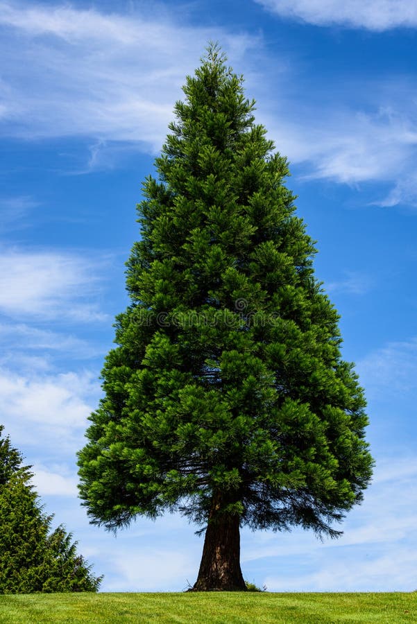 Symmetrical Sky stock photo. Image of grid, building, metal - 53286