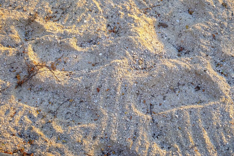 Many Footprints on Sand Ground with Warm Light Stock Image - Image of ...