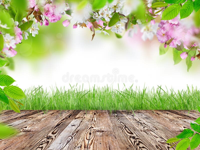 1,051,304 Nature Background Wooden Table Stock Photos - Free & Royalty ...