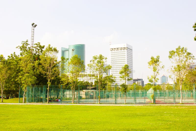 Nature in Bangkok editorial stock photo. Image of field - 57346453