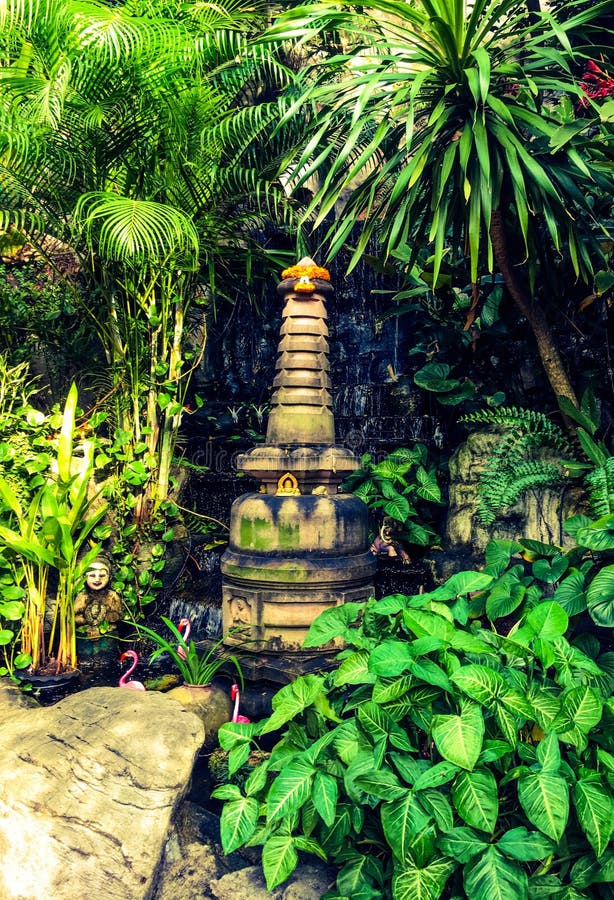 Nature in Bangkok stock image. Image of forest, garden - 96331259