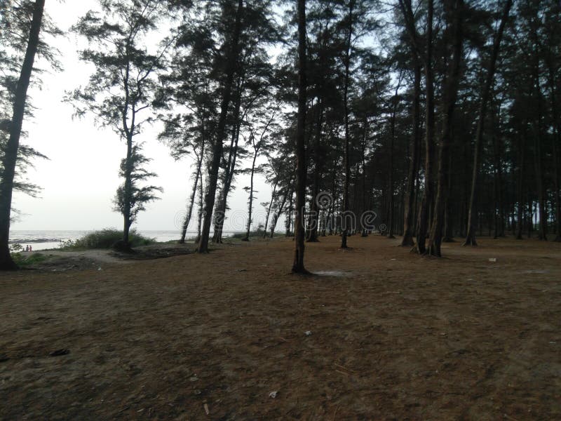 Nature by beach side stock image. Image of side, beach - 152618525