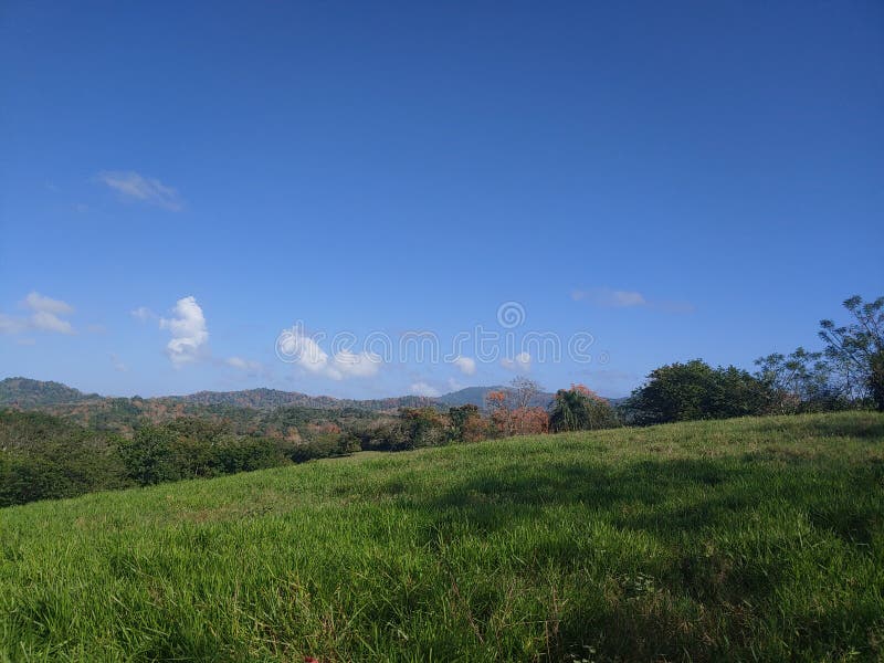 Nature is Beautiful, Amazing Unbelievable Stock Photo - Image of ...