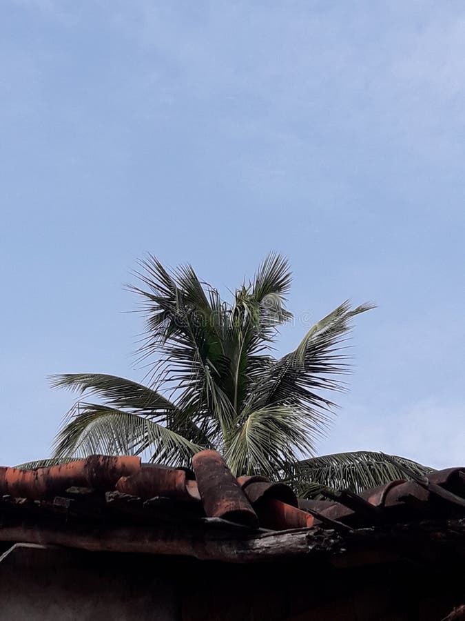 Nature is so beautiful stock image. Image of cool, beautiful - 146451389