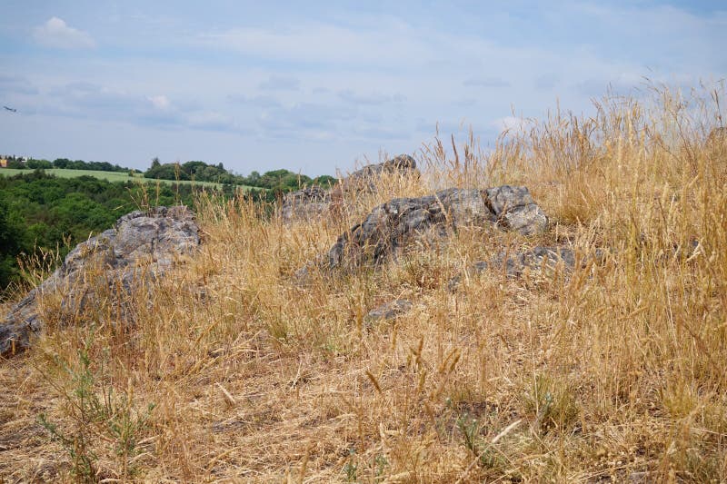 Nature stock photo. Image of capture, beautiful, trees - 93805370