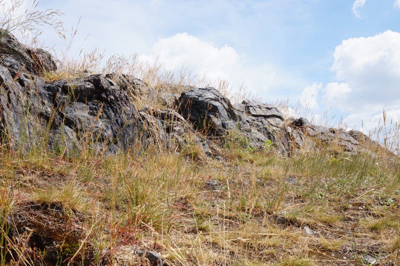 Nature stock image. Image of suitable, panorama, trees - 93807543