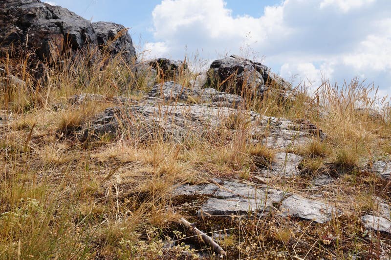 Nature stock image. Image of beautiful, capture, nature - 93807807