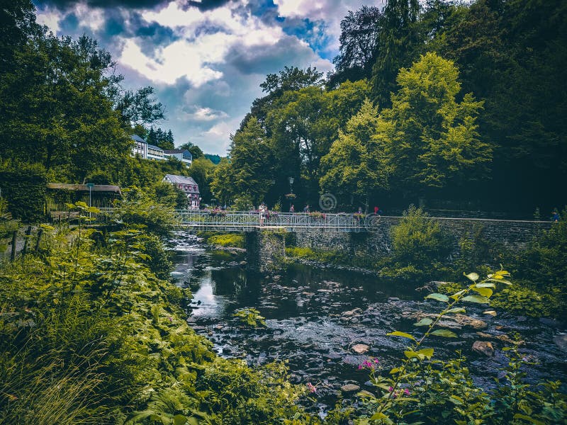 Nature escape stock image. Image of nature, green, escape - 122647951