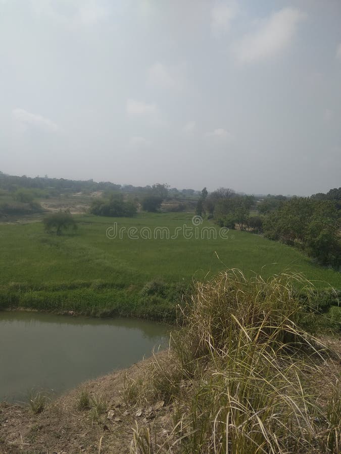 Nature stock photo. Image of smart, nature, good, beautiful - 144719828