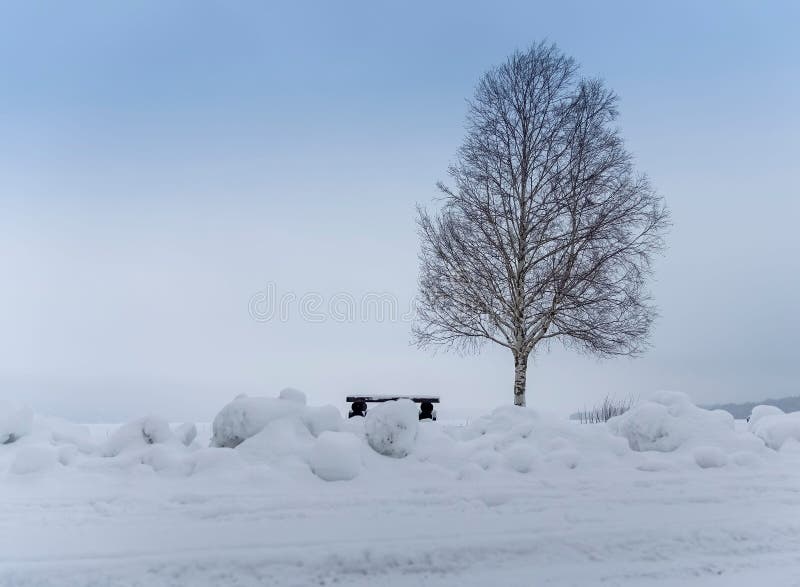 Nature Pics from Beautiful Ludvika Sweden Stock Image - Image of ...