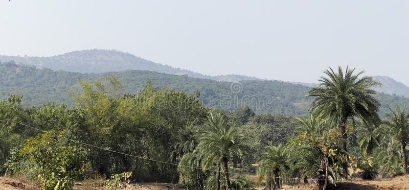 Nature stock image. Image of divided, beautiful, nature - 134424207