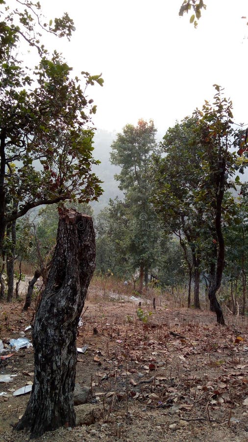 Nature stock photo. Image of scenario, beautiful, nature - 94518604