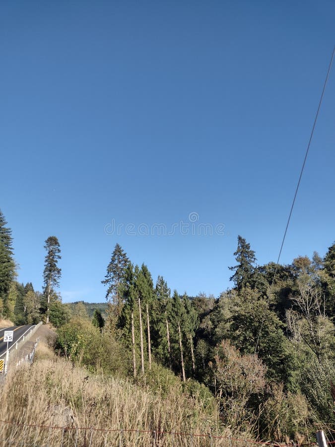 Nature on a Beautiful September Afternoon Stock Photo - Image of ...