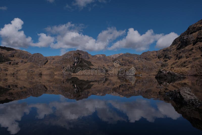 Nature beautiful symmetry stock photo. Image of cajas - 84097362