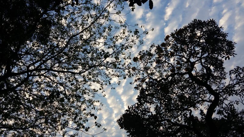 Nature stock image. Image of nature, beautiful, angle - 99830191